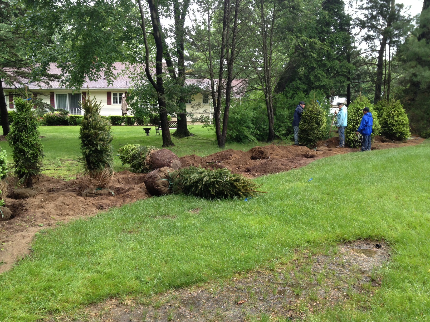 The C & R Landcape Design Gallery