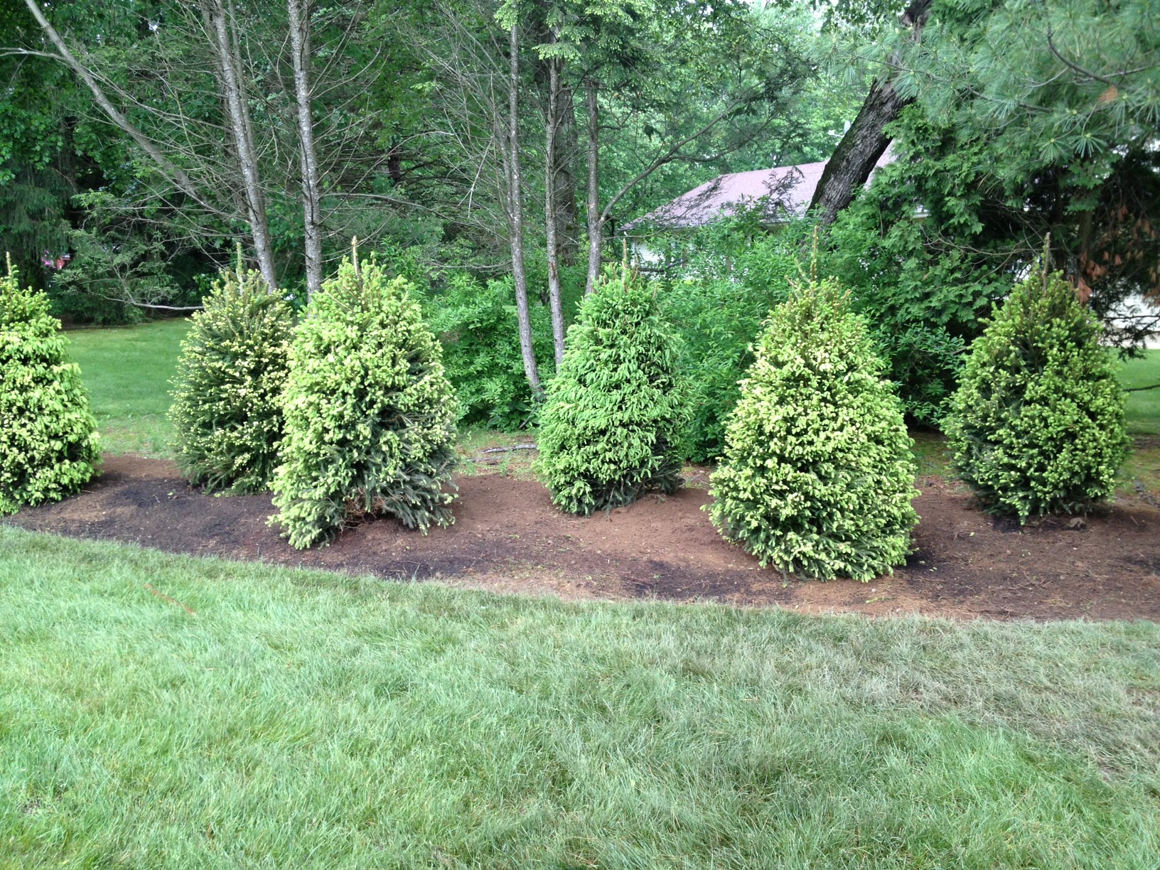 The C & R Landcape Design Gallery