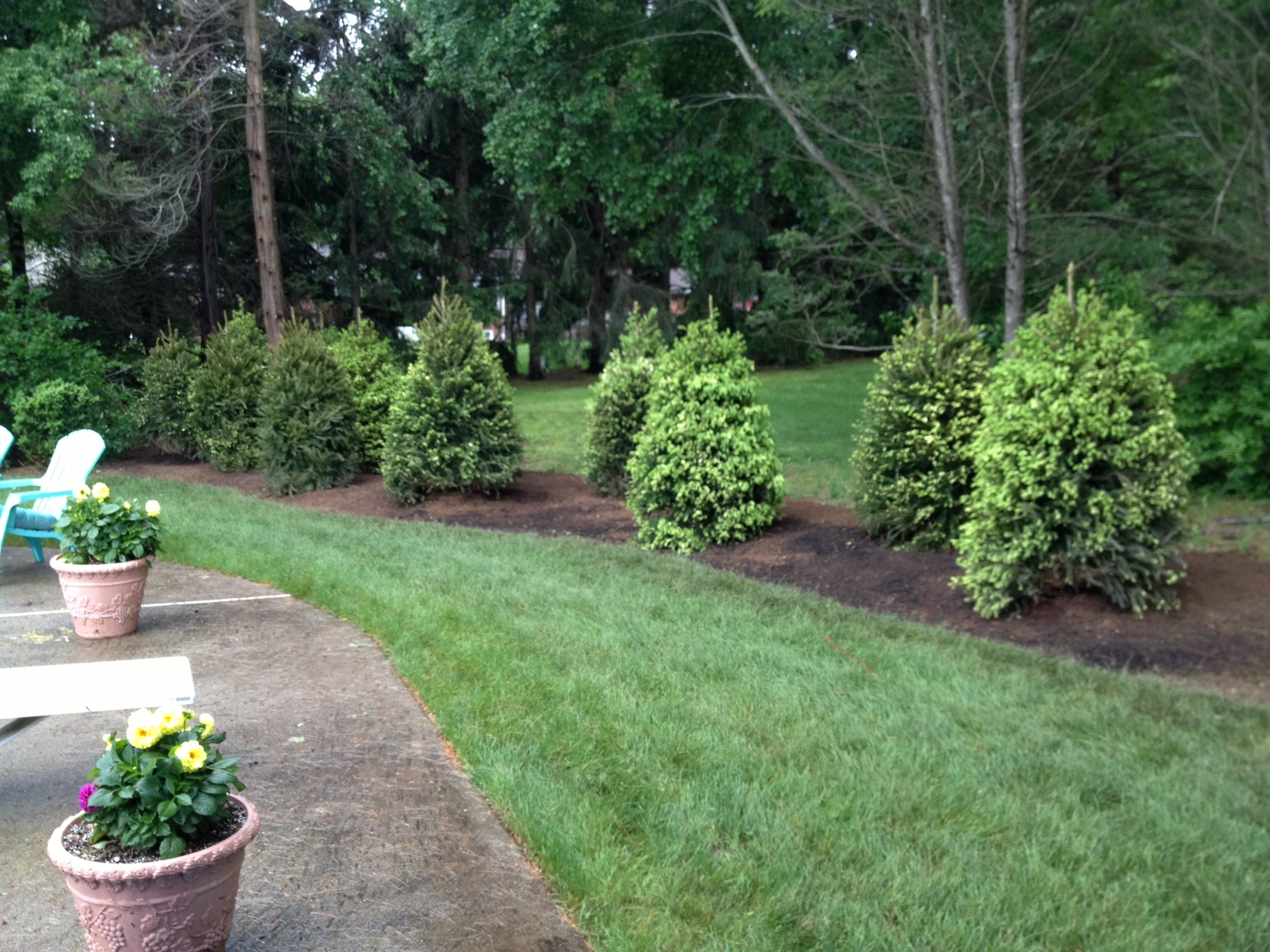 The C & R Landcape Design Gallery