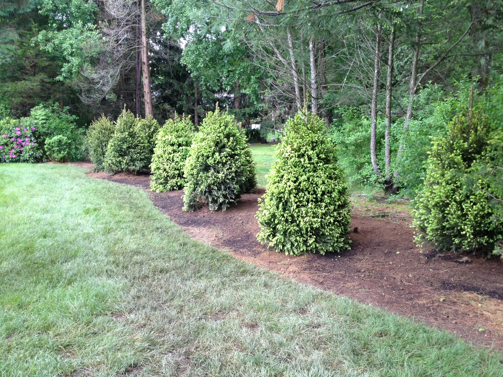 The C & R Landcape Design Gallery