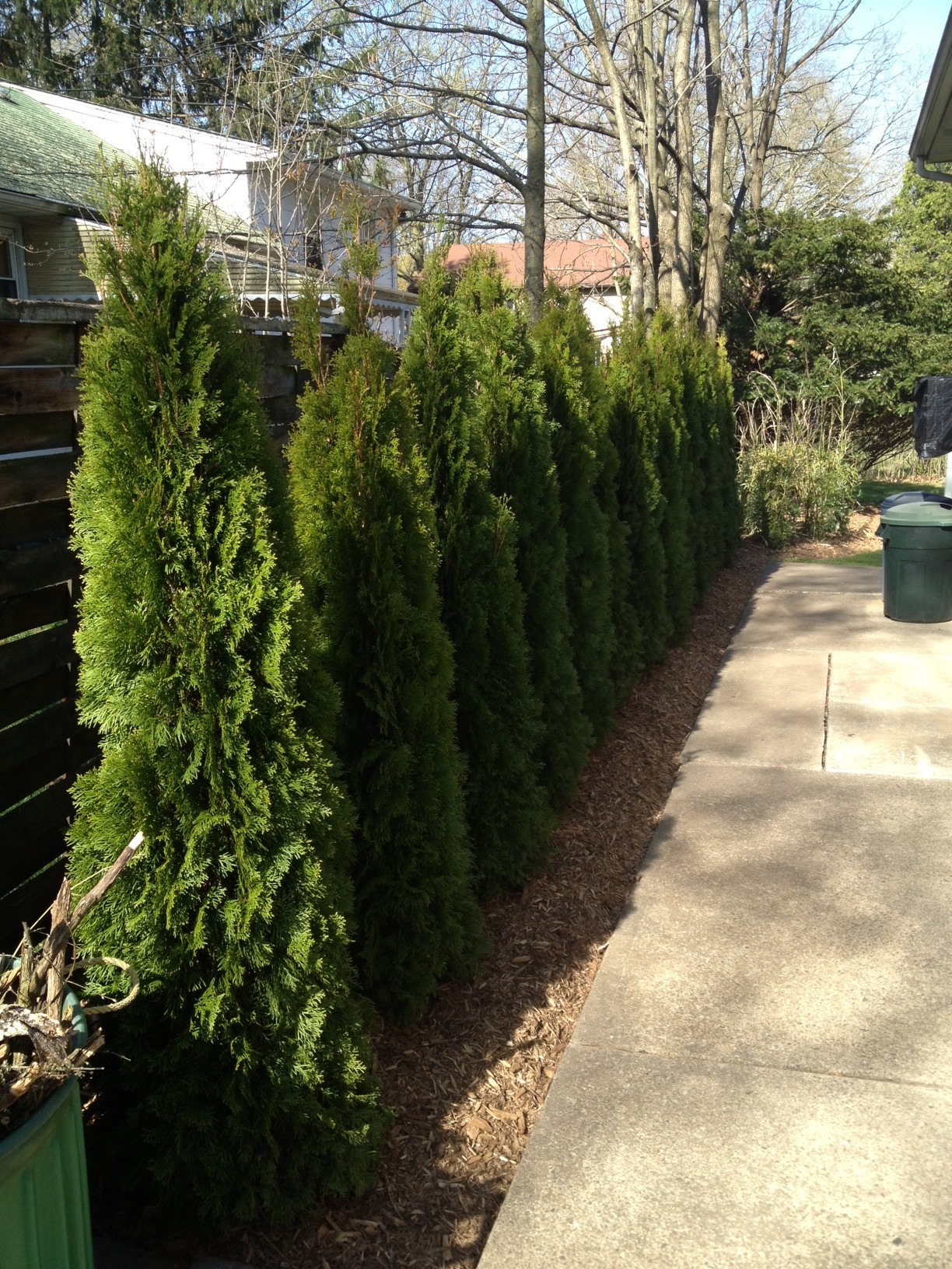 The C & R Landcape Design Gallery