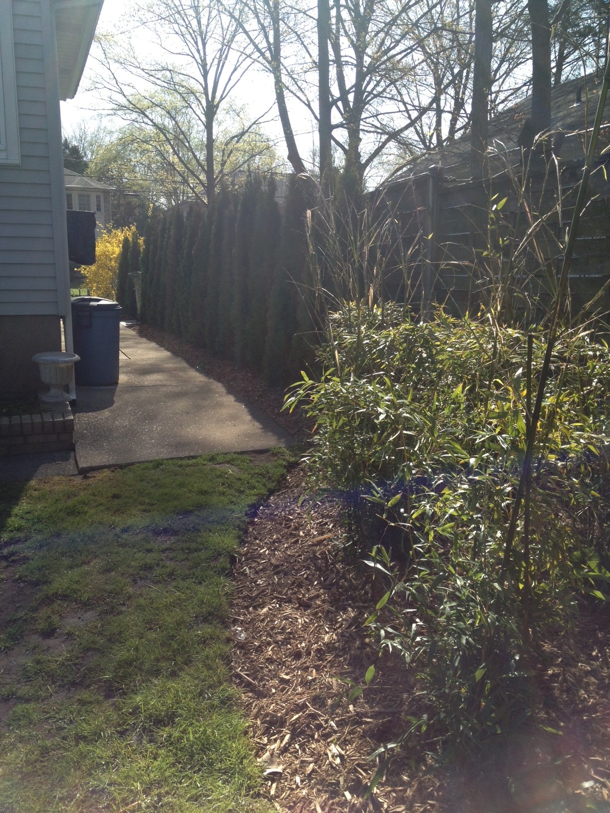 The C & R Landcape Design Gallery